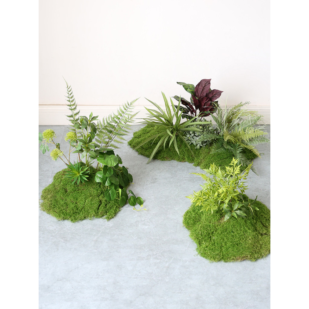 Gabungan Landskap Tumbuhan Hijau Tiruan Ruang Tamu Dalaman Hiasan ...