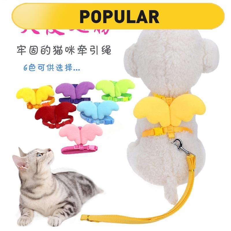 rantai kucing cat collar Tali Tarik Kucing, Tali Kucing, Tali Tali ...