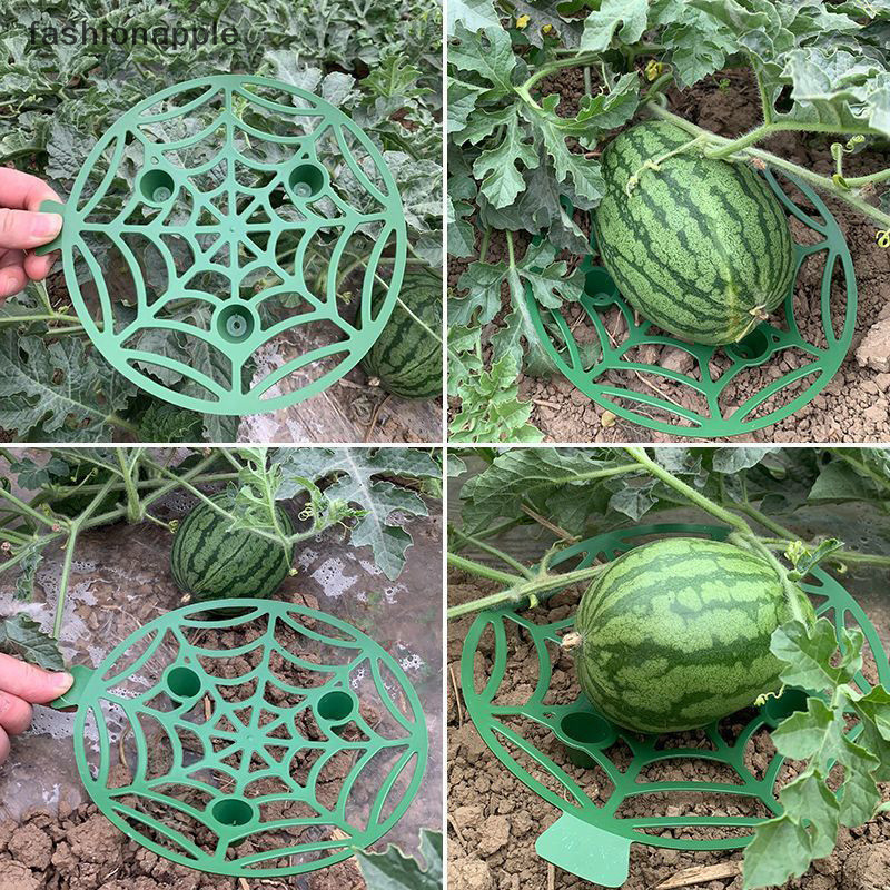 FAMY Watermelon Tray Support Rack Fruit Plang Tray Agricultural Fruit ...