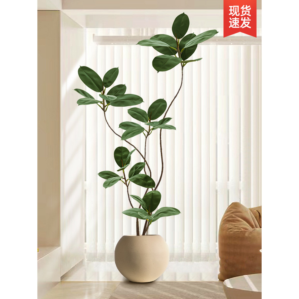 Pokok Getah Tumbuhan Hijau Tiruan Tumbuhan Palsu Ruang Tamu Cahaya ...