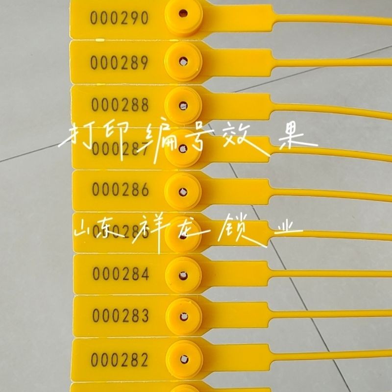 Disposable Plastic Logistics Seal Anti-Adjustment Package Tag Container ...