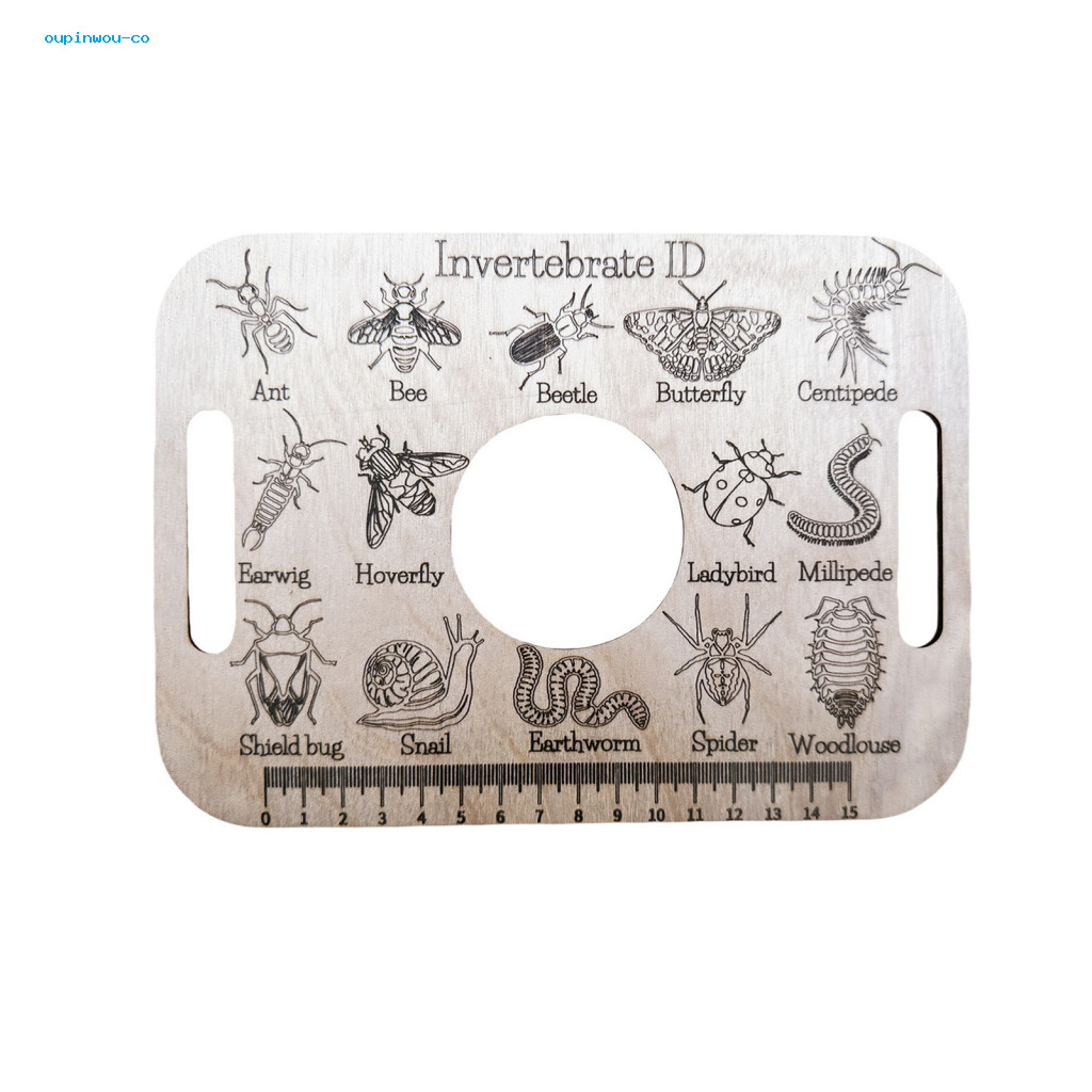 oupinwou Animal Identification Board Wooden Animal Identification Ruler ...
