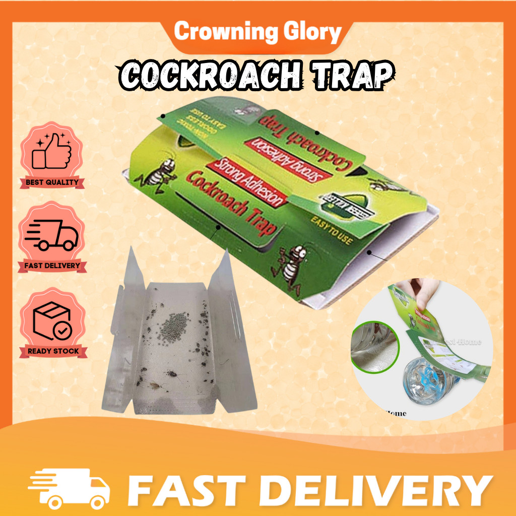 Cockroach And Lizard Extra Strong Sticky Glue Trap Perangkap Gam Lipas ...