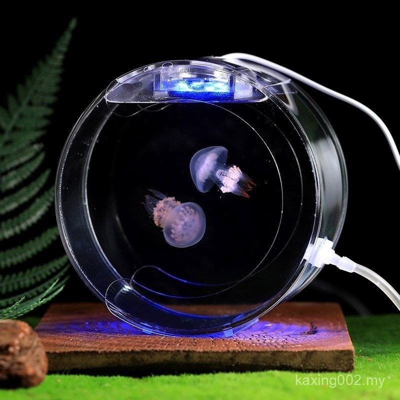Official Smart Circulating Jellyfish Tank Living Good Raising Children ...