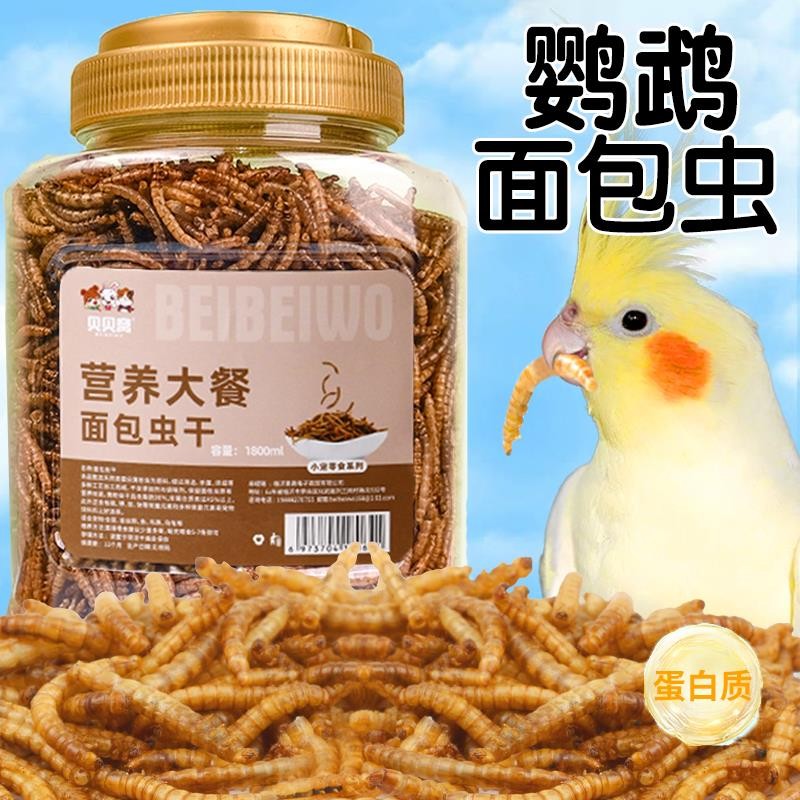 Makanan Ringan Ganjaran Kering Cacing Makan Burung Beo untuk Burung ...