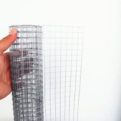 Penghantaran Pantas Pagar Wire Mesh Hot-Dip Galvanized Kimpalan ...