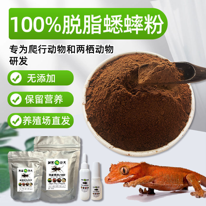 Ready Stock Dedicated Nutritional High-Protein Climbing Pet Lizard ...