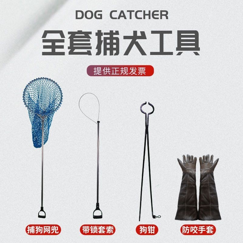 Dog Catching Net Pocket Bold Stainless Steel Dog Catching Net Cat Dog ...