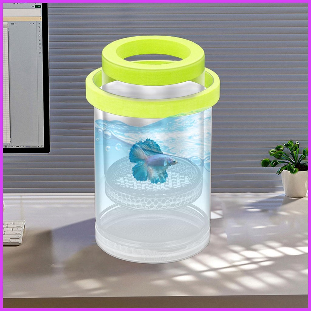 Floating Fish Isolation Box Fish Tank Breeder Box Betta Incubator ...