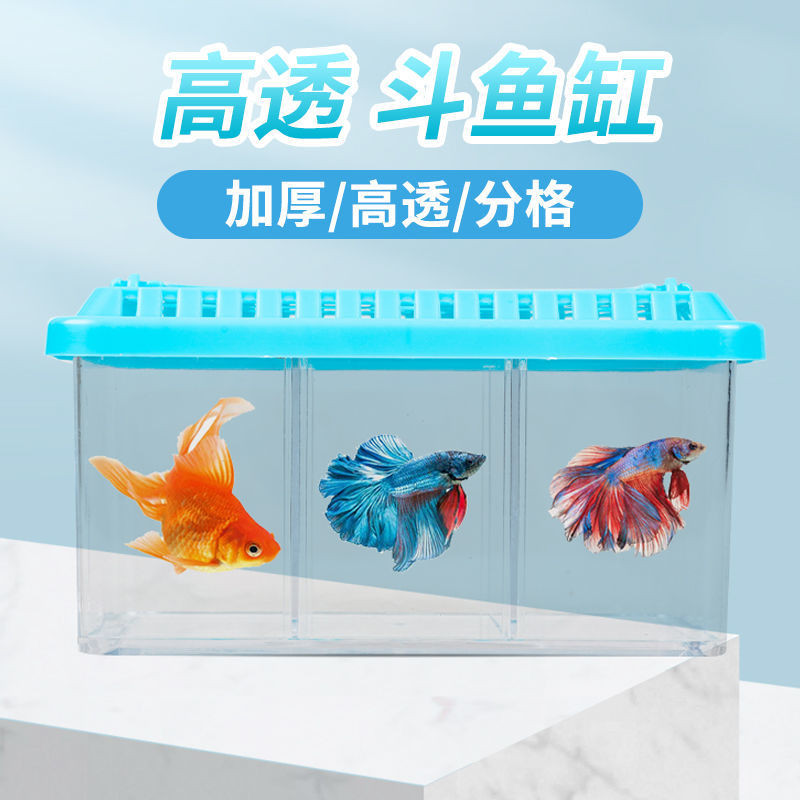 Isolation Box Small Fish Fry Juvenile Fish Incubation Box Turtle ...