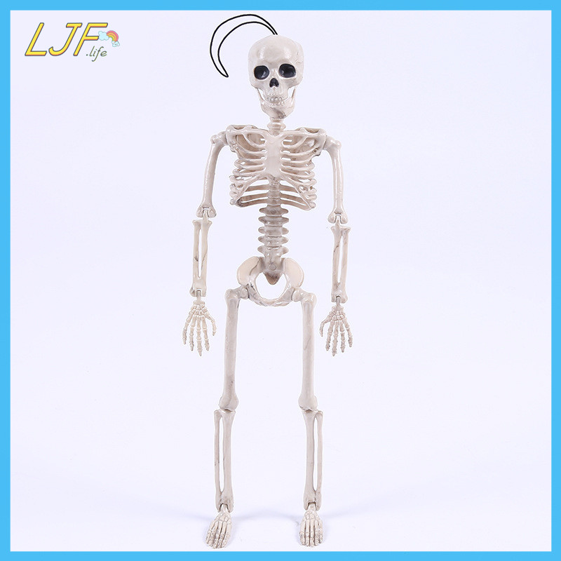 LJF Posable Skeleton Halloween Decor Scary Man Bone Creepy Party ...