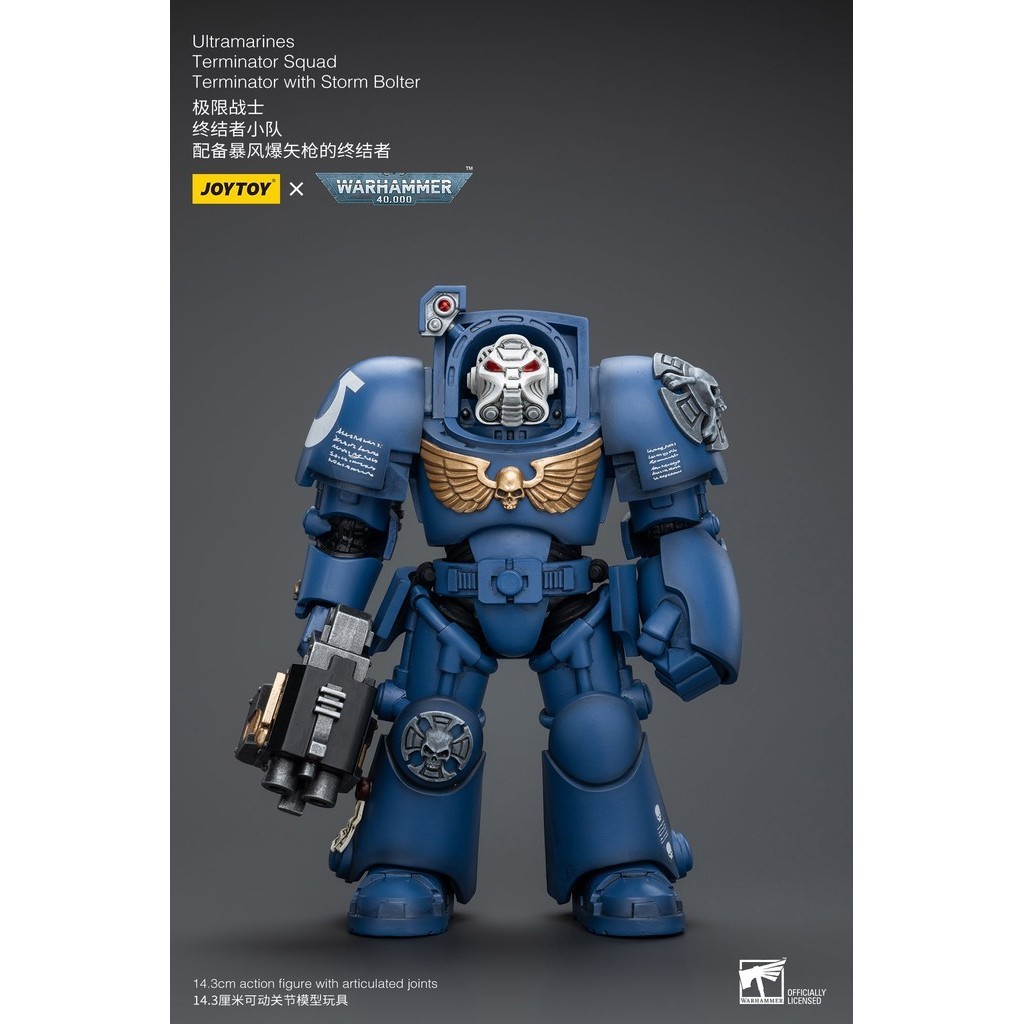Ultramarines Terminator Squad Terminator with Storm Bolter- Warhammer ...