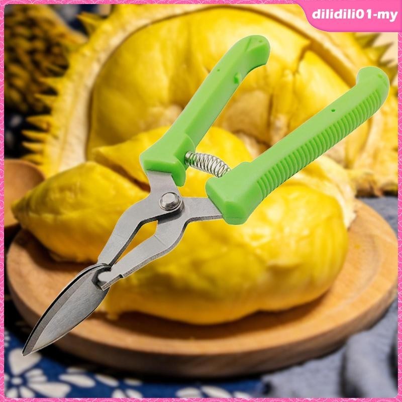 [DilidilidaMY] Durian Opener Iron Peeling Smooth Rustproof Durian ...