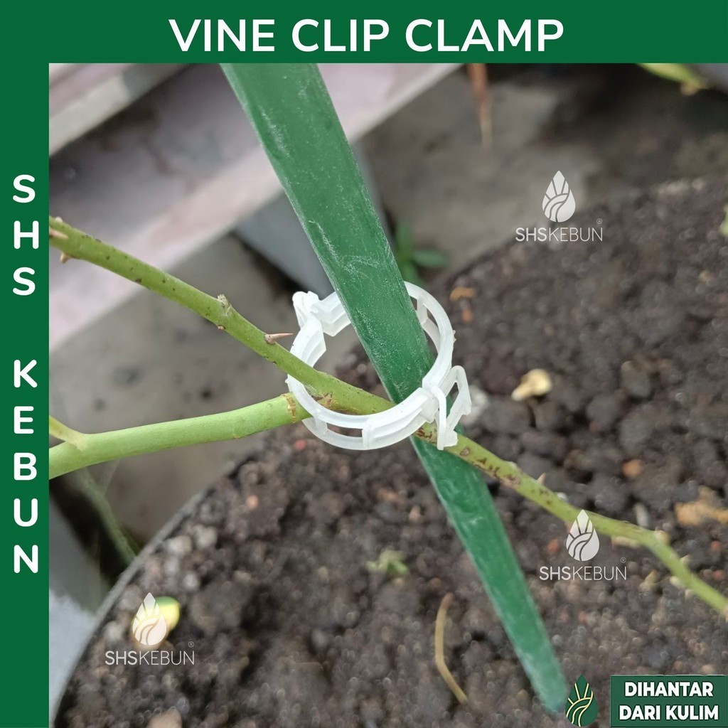 Vine Clip Clamp (100pcs) Hanging and Supporting Vine Crop Plant Clamp ...