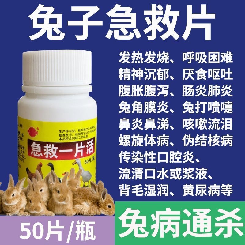 Rabbit Rabbit complete set of pet rabbits with common medicines for ...