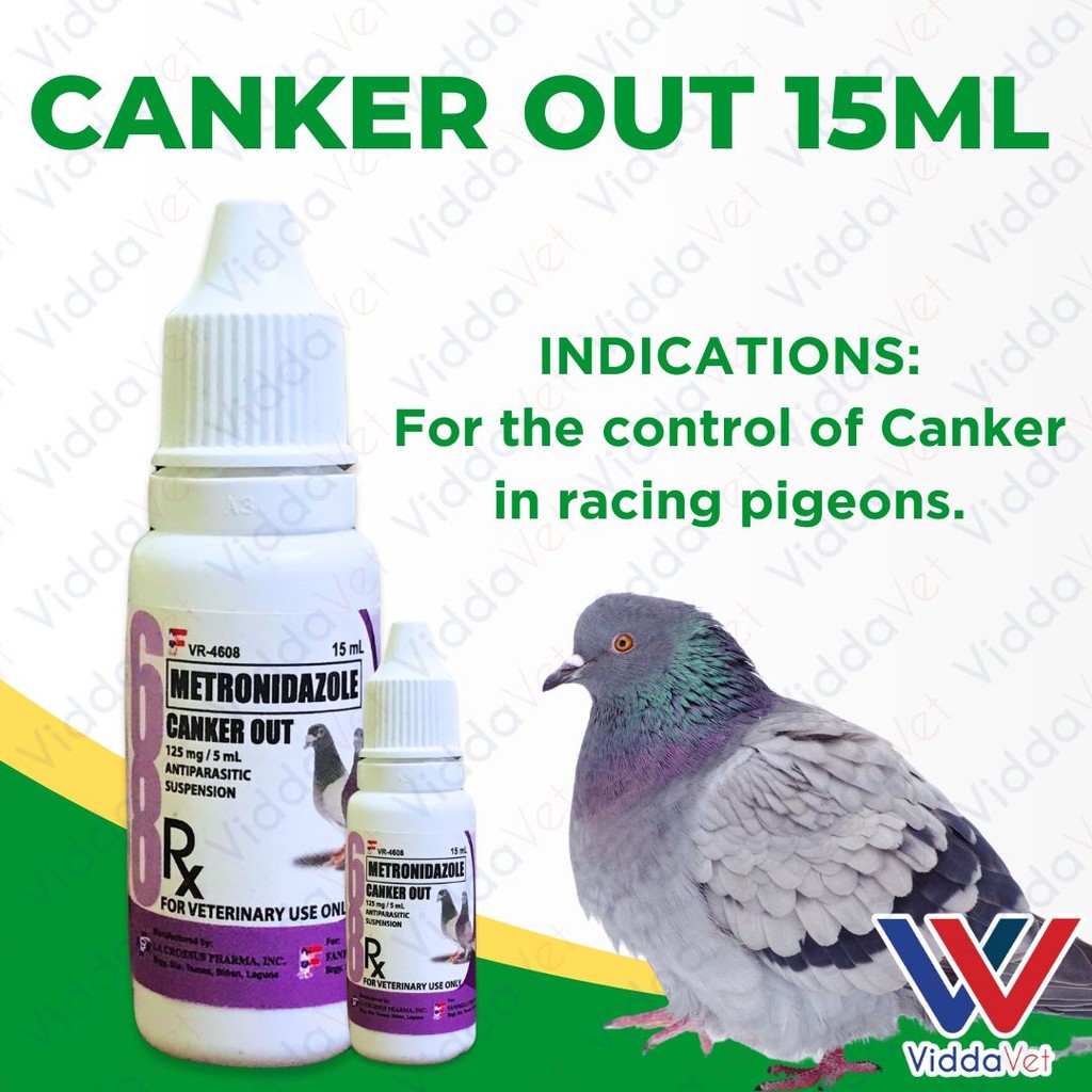 Canker Out 15ml Effective Canker Treatment for Pigeons | Shopee Malaysia