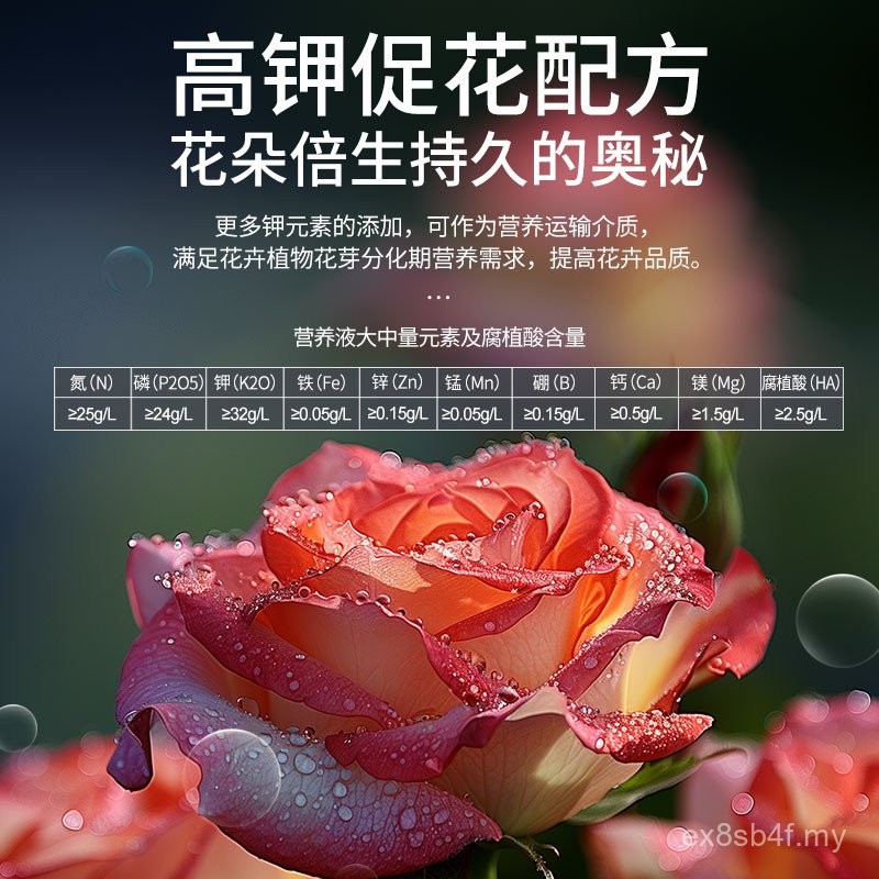 Penyelesaian Nutrien Stanley Cymbidium Baja Bunga Hidroponik Tanaman ...