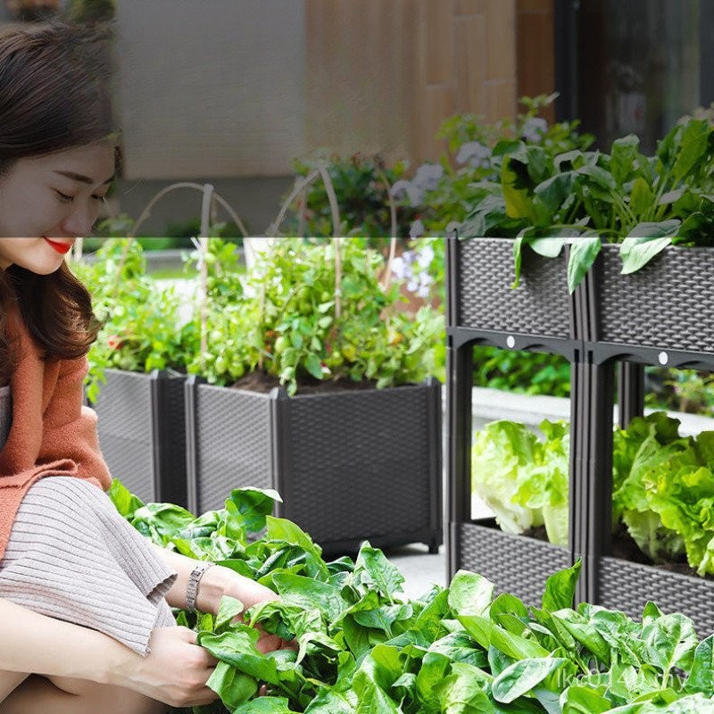 Vegetable Planting Pot Flower Box Ling Planting Rectangular Miao Extra ...