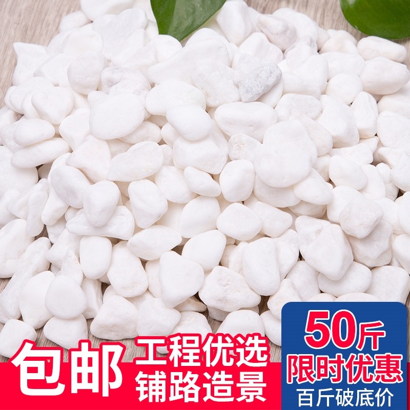 50 Paun Batu Kerikil Putih Batu Besar dan Kecil Batu Buntar Halaman ...