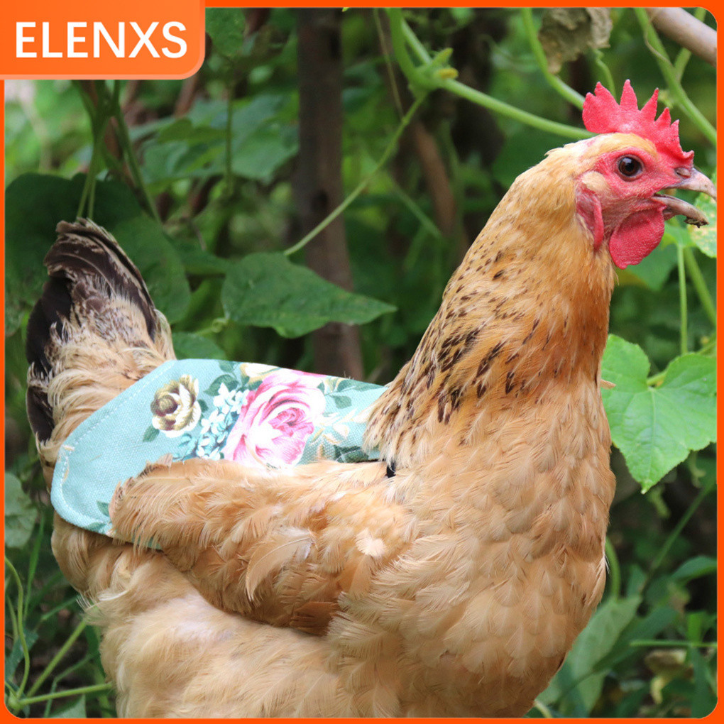 Pack of 5 Chicken Saddle Adjustable Accessories Aprons Poultry Wing ...
