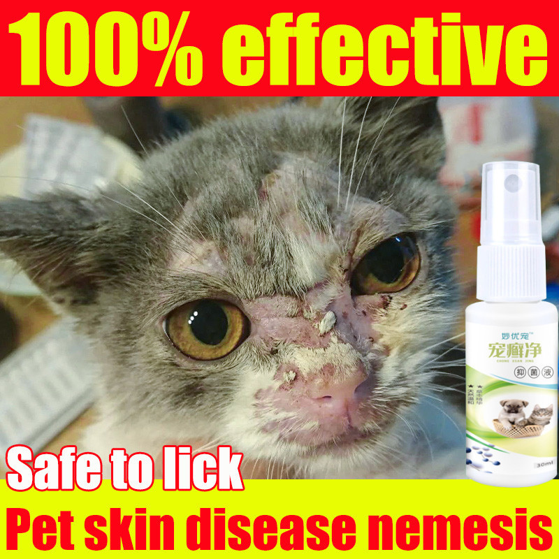 30ml Pet Skin Treatment for Dogs and Cats Galis Ng Aso Gamot Dog Skin ...