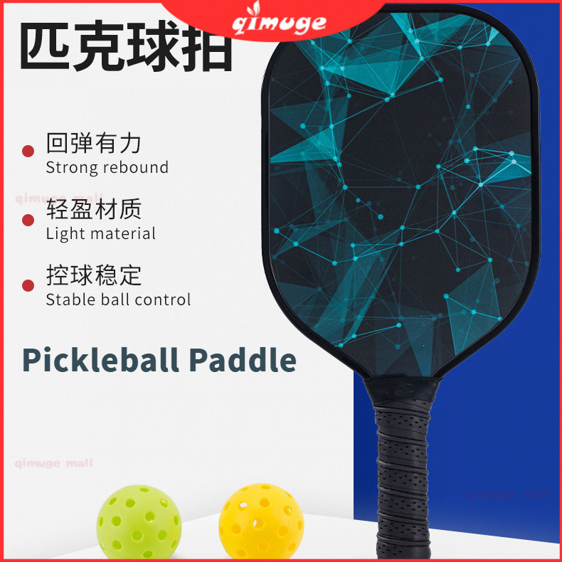 Pickleball Set with Fiberglass Pickleball Paddle Set | Professional ...