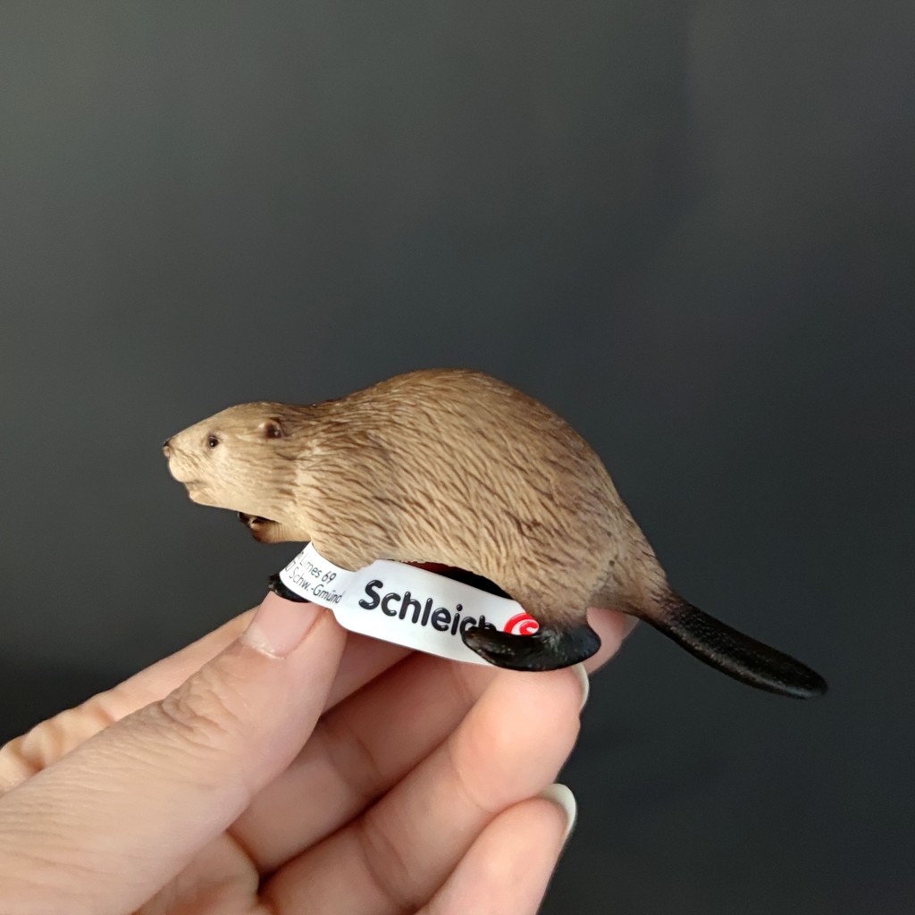 German Sile Genuine Beaver Beaver 14855 Mink Mouse Simulation Wildlife ...