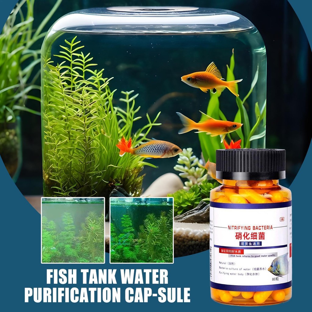 Fish Tank Water Purification Tablets 30X Water Clarifier Tablets Safe ...