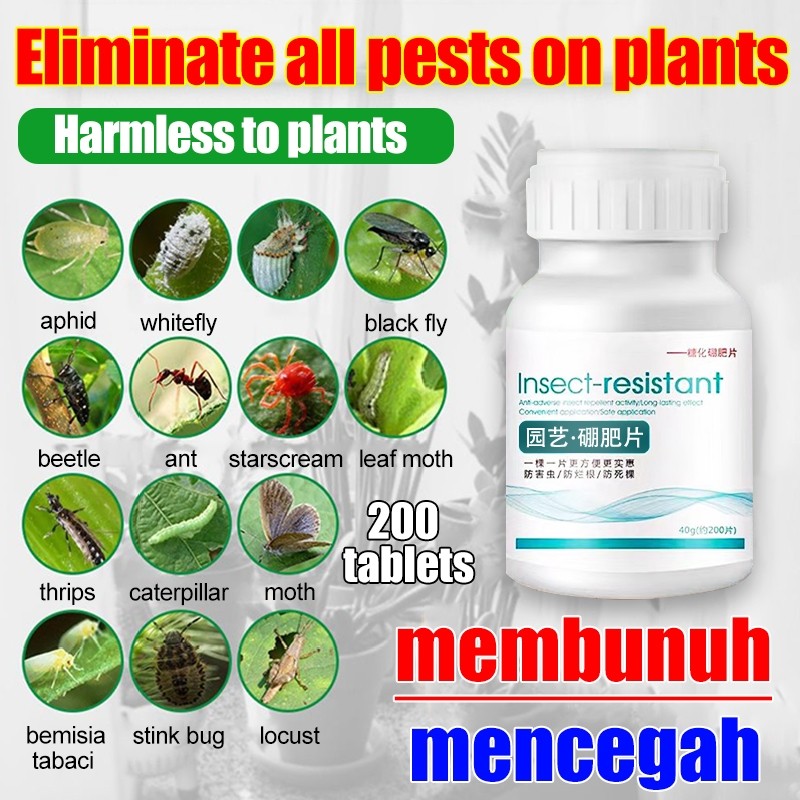 Kill all types of pests！Racun serangga tanaman Plant insect repellent ...