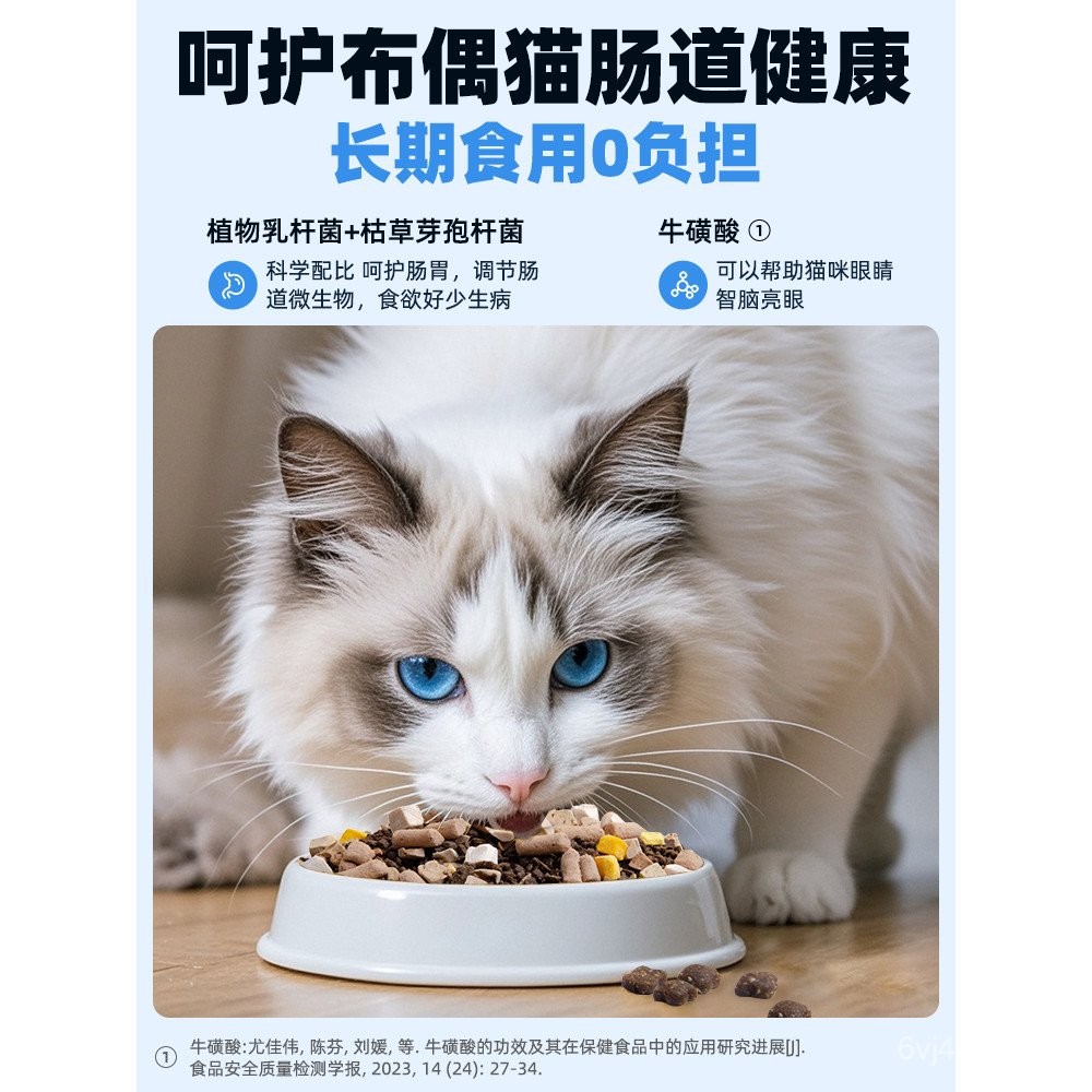 Makanan kucing, boneka, kegunaan khas kucing, nutrisi, makanan utama ...