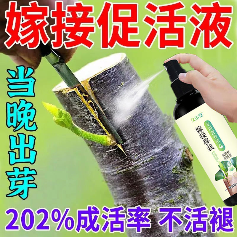 [Ready Stock] Fruit Tree Grafting Healing Agent Promote Living Liquid ...