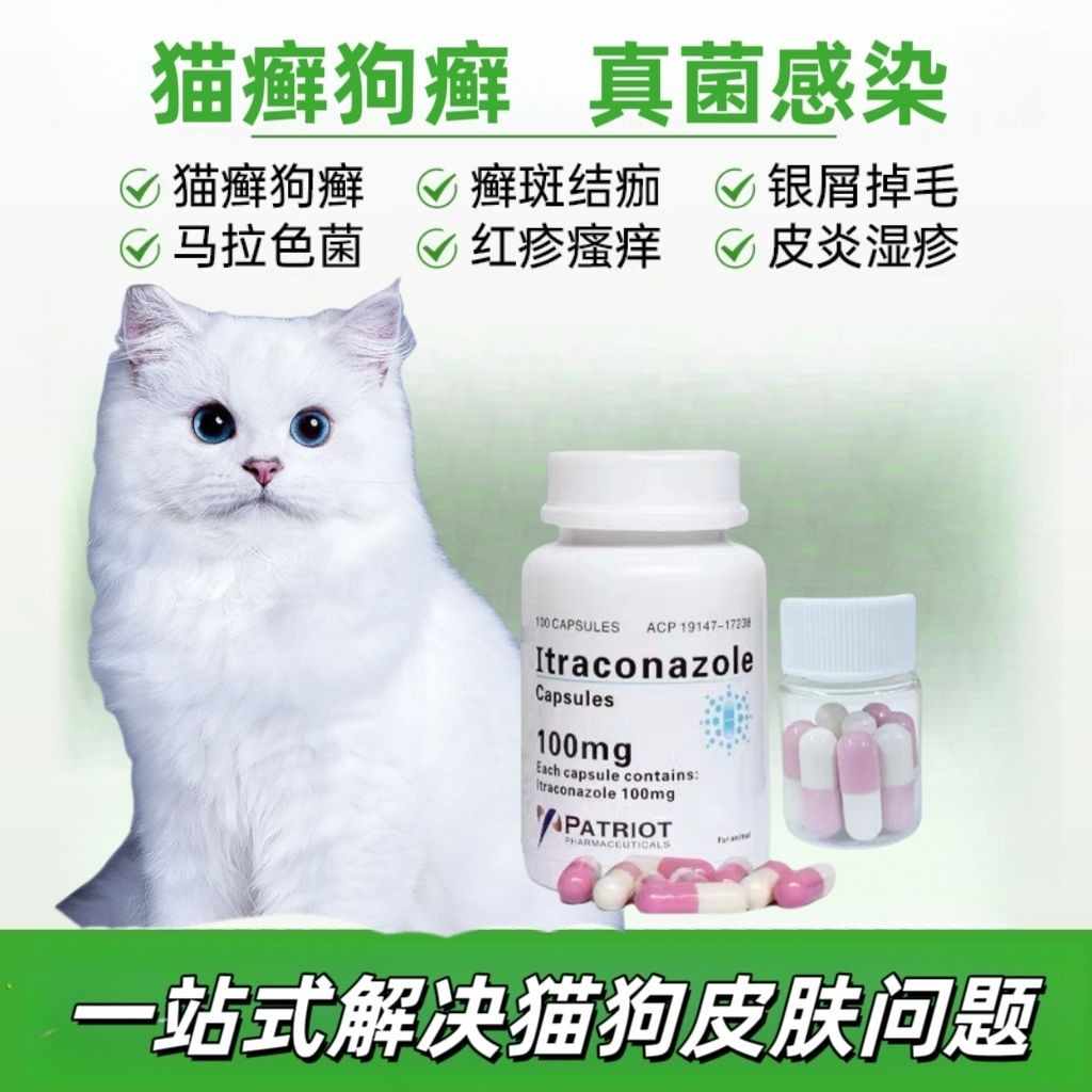[539 People Praise] Cat Praise Oral Medicine Cat Mara Color Bacteria ...