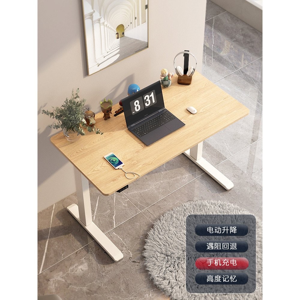 Koble Electric Lifting Desk Standing Workbench Desk Computer Desk ...