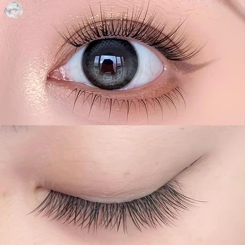 10-13mm Pre Glued Lash Clusters Black Pre Glued Lash Clusters | Shopee ...