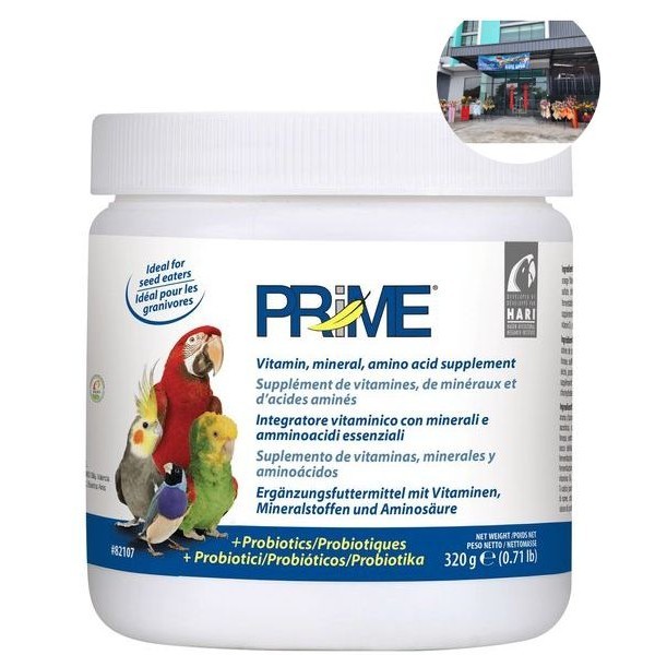 Prime Vitamin Supplement 400g | Shopee Malaysia
