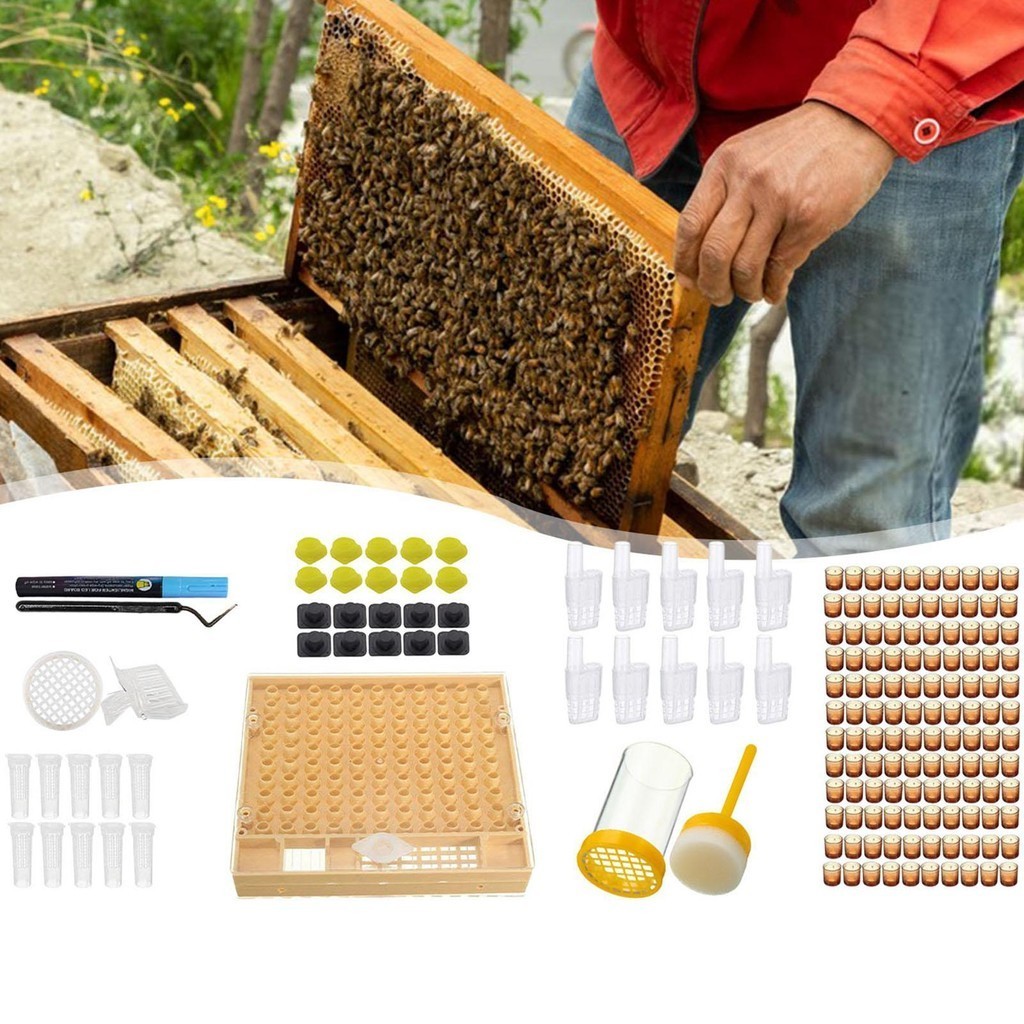 Complete Queen Rearing Kit Complete Queen Rearing Box System for ...