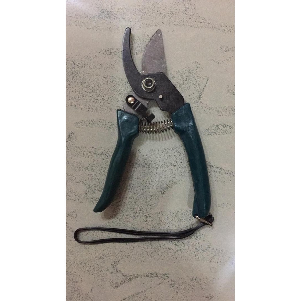 Gardening Shear / Pruning Shear / Gunting Pokok / Gardening Cutter ...