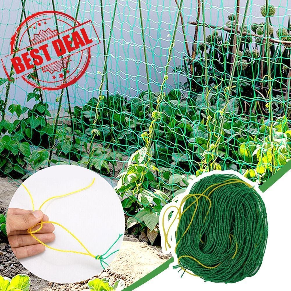 Durable Garden Trellis Netting For Climbing Plants Perfect For Loofah ...