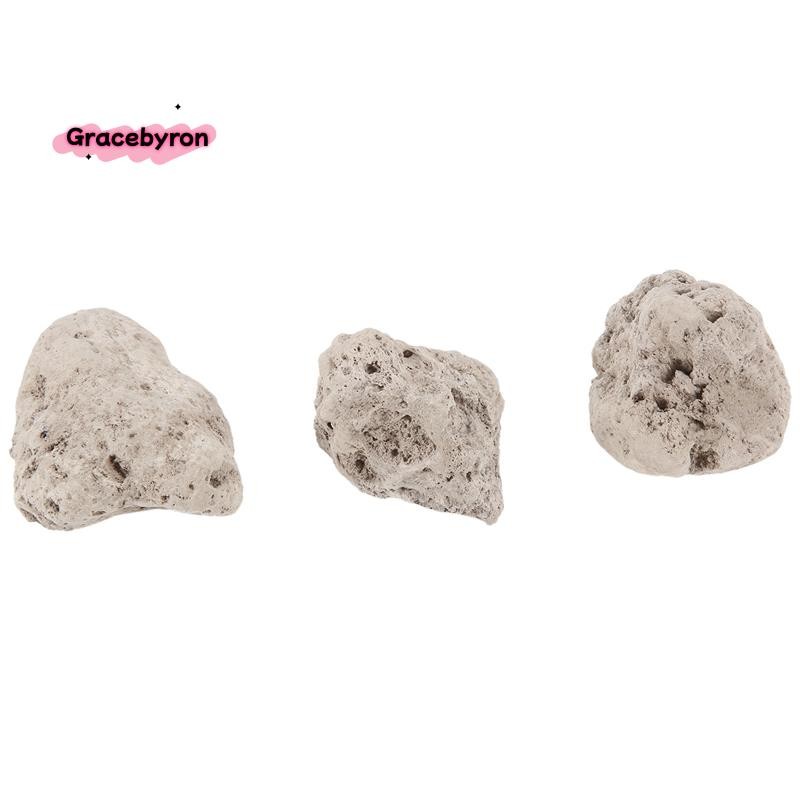 3pcs Floating Real Rocks Aquarium Water Plant fish tank Aquatic ...