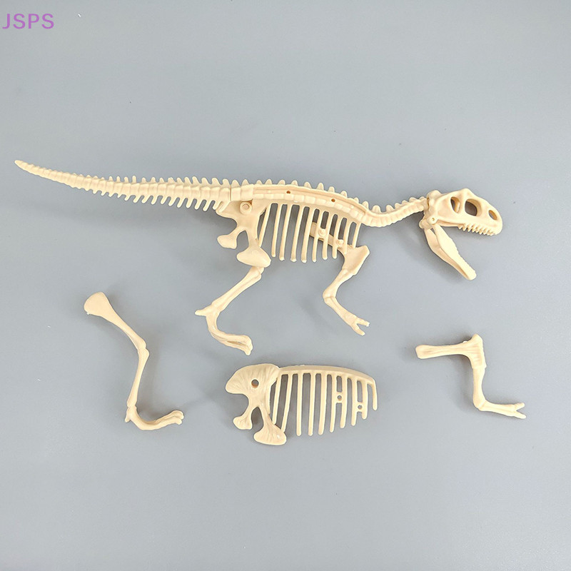 JSPS 1 Set Kid Toy DIY Assembly Jurassic Dinosaur Fossil Skeleton ...