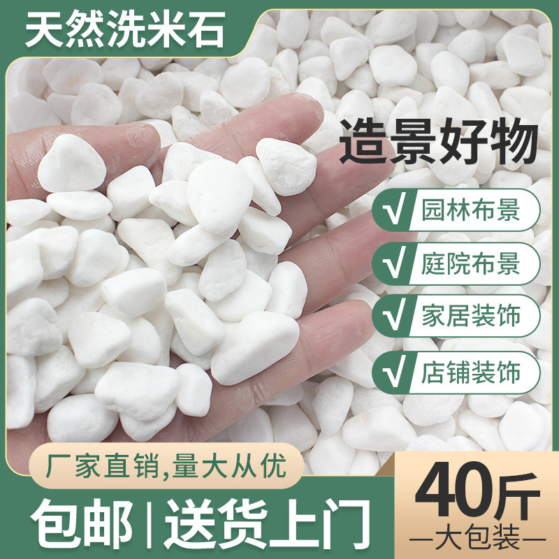 Batu Kerikil Putih Asli Batu Buntar Besar Halaman Menurap Tanah Batu ...