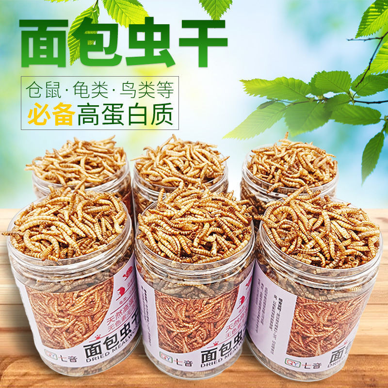 2025新款面包虫干芦丁鸡鸭银龙鱼地图龟食物鹦鹉八哥仓鼠螃蟹高蛋白虫喂鸡Bread Worm Dried Rudin Chicken Duck ...
