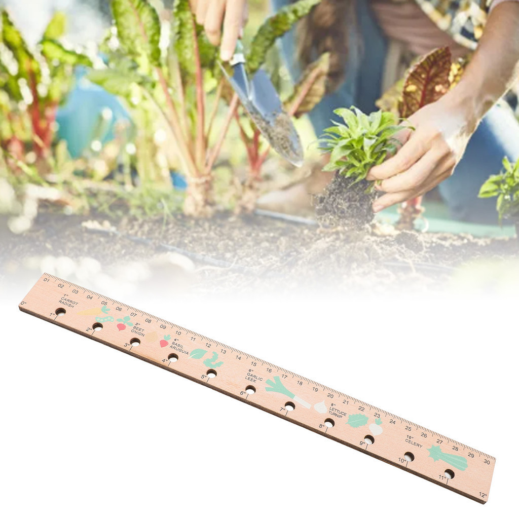 [herebuy] Seeding Planting Spacing Ruler And Dibber Set Wooden Planting ...