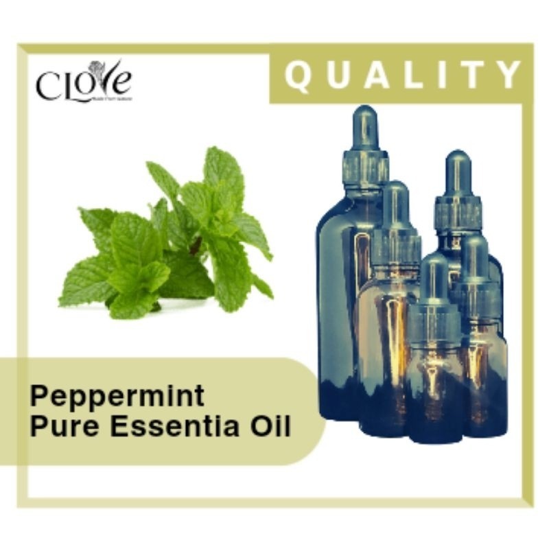 Peppermint Pure Essential Oil | Shopee Malaysia