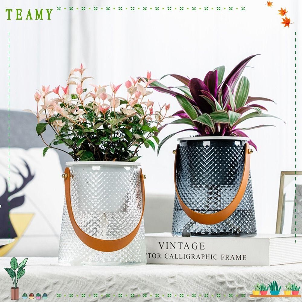 TEAMY Lazy Plant Pot, with Handle Visible Water Level Hydroponic ...