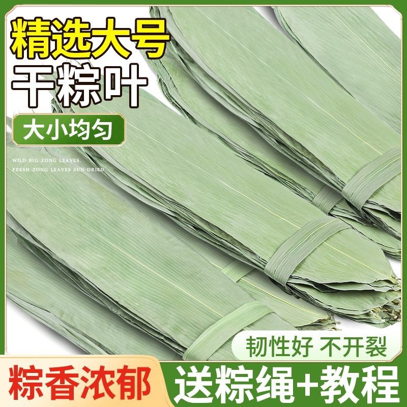 现货粽叶包粽子专用粽子叶干特大号棕叶竹叶子新鲜商用端午新叶箬叶宽Zongzi wrapped with Zongzi leaves Extra large brownjiumei10.my抽 ...
