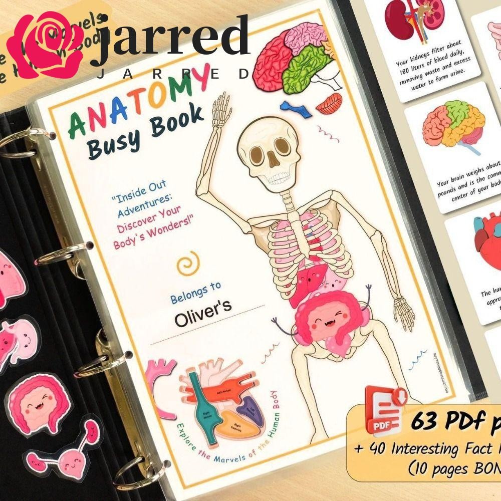 JARRED Human Organ Match Quiet Book, Montessori Toys Paper Human ...