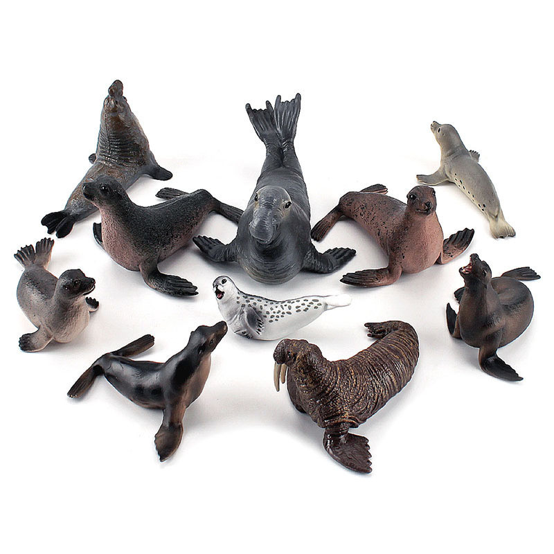 Simulation Marine Life Model Set Solid Seal Sea Lion Walrus Static ...