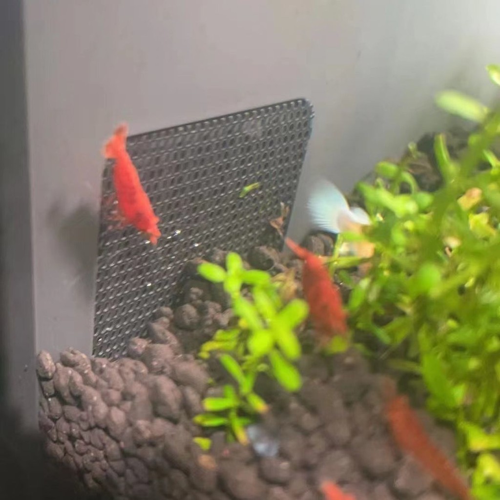 Modified Xiaomi Home Smart Fish Tank Baffle Filter Consumables Physical ...