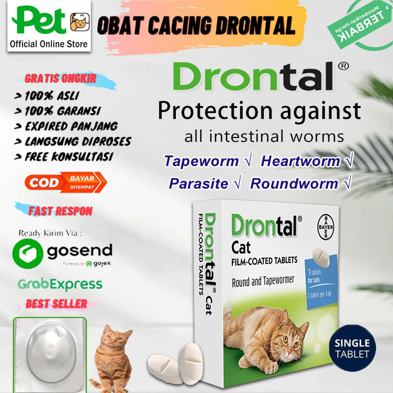 buy 3 get 1 free）Ubat Cacing Kucing Drontal Cat Deworm 1pill Cat Worm ...